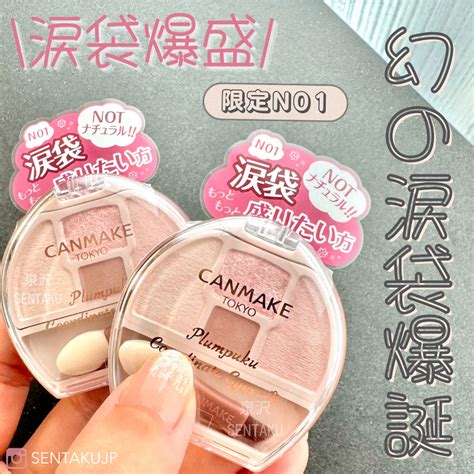 Canmake
