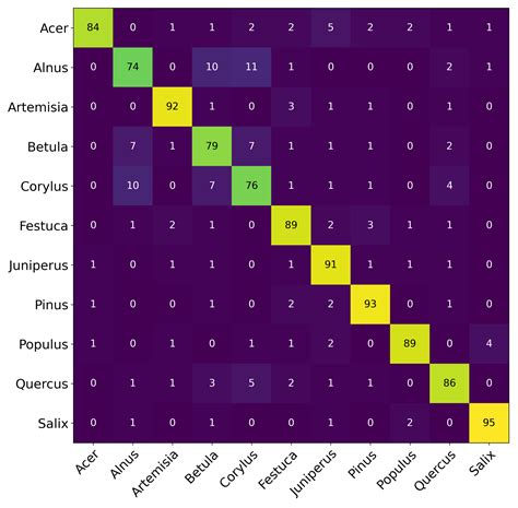 Multi Input Convolutional Neural Networks For Automatic Pollen
