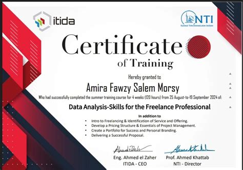 Amira Fawzy On Linkedin Dataanalysis Python Powerbi Sql