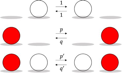 Schematic Illustration Of The Model Dynamics Bath Particles Are Download Scientific Diagram