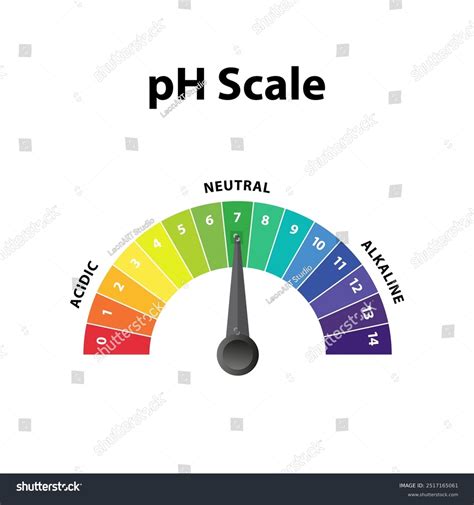 Colorful Ph Level Scale Chart Indicator Stock Vector Royalty Free 2517165061 Shutterstock