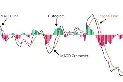 How To Use The Macd Indicator For Crypto Trading Coin Hint