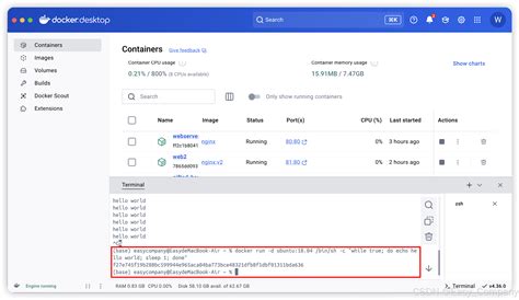 超详细！！关于docker操作容器的相关操作 容器相关操作 csdn博客