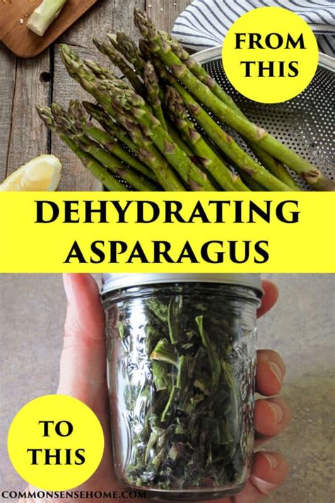 Dehydrating Asparagus Easy Space Saving Asparagus Storage