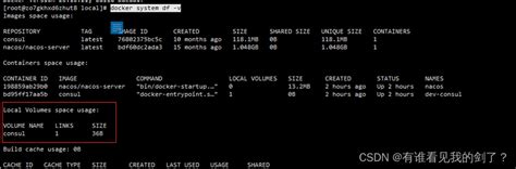 docker system全新命令集 csdn博客