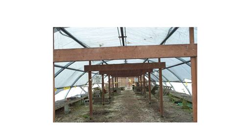 Plant Propagation Structures Pptx