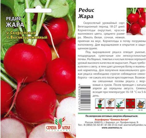 Редис Жара: описание сорта, отзывы, фото, характеристика, достоинства и ...