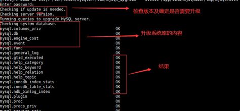 MySQL数据库升级 耿小厨 博客园