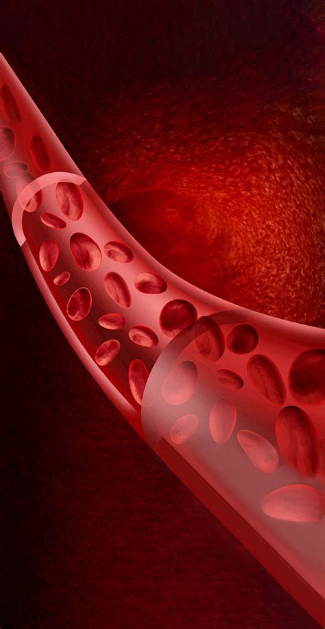 血管红细胞 2 花瓣网