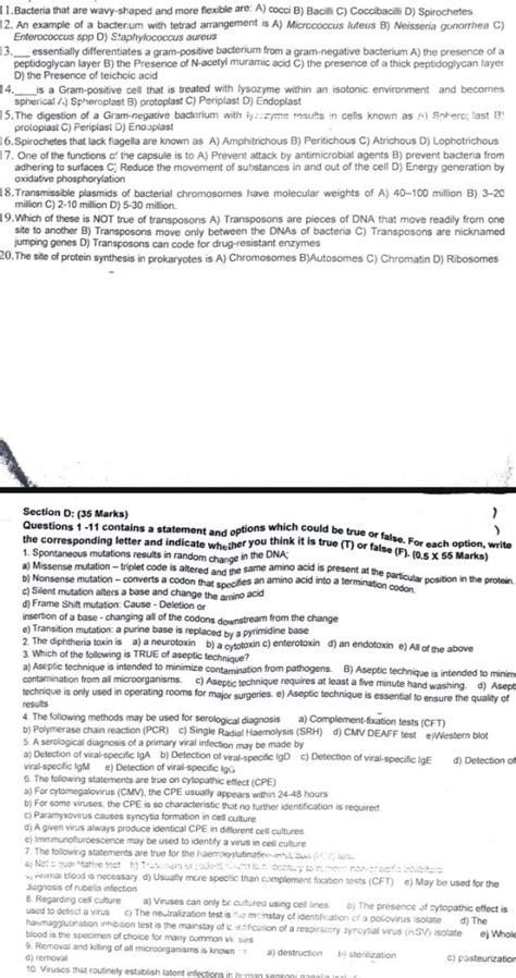 11bacteria That Are Wavy Shaped And More Studyx