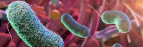 Microbiome Research Analysis Webinar Revvity