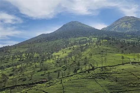 Gunung Cilik Wonosobo Destinasi Wisata Murah Dengan Pemandangan Indah