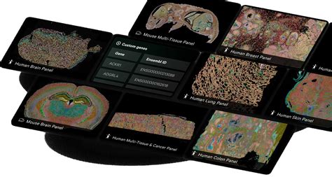 Technologies Spatial Technologies Unit