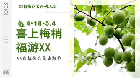 龙岩市杭梅文化旅游节活动策划 FA方案网