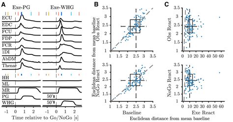 Figures And Data In Movement Initiation And Grasp Representation In
