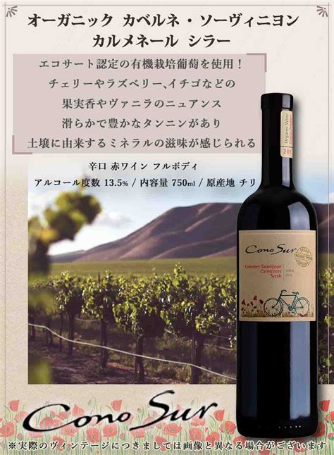 【楽天市場】【限定最大p10倍】ワイン ギフト ビール ワイン ギフト 2本セット「プレミアムビール スペインビール イネディット ビール