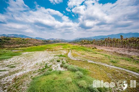 台南楠西景點〡永興吊橋〡曾文溪上的紫色微笑 超過四百公尺長吊橋 兩百年茄苳老樹 小菲親子玩樂生活