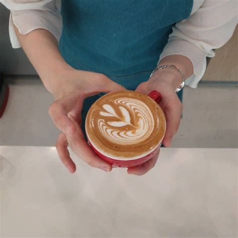 튤립 🌷 🌕 라떼아트 원데이클래스 🌕 라떼아트 정규과정 3강 스팀 크레마안정화 푸어링 원 하트 튤립 5강 핸들링 결하트 결튤립 로제타 7강 프로페셔널 패턴 스완 🌕