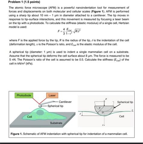 Solved The Atomic Force Microscope AFM Is A Powerful Chegg