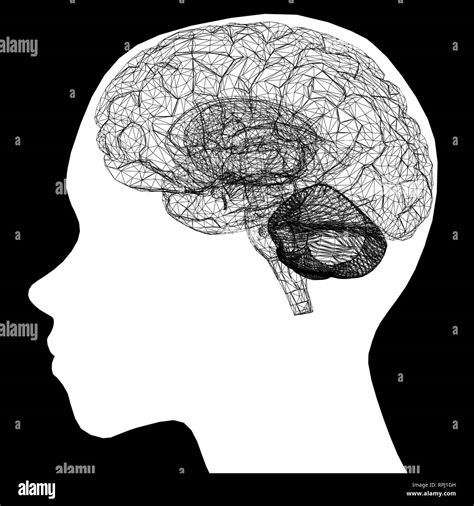 Silhouette Of A Man Head With A Brain Wireframe Side View Vector