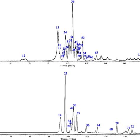 Uhplc Orbitrap Hrms Total Ion Chromatogram Tic Of The Methanolic Download Scientific Diagram