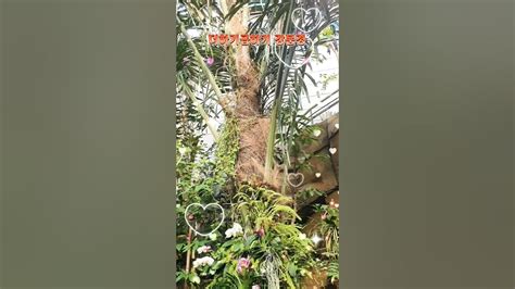 강문경 더하기곱하기 현역가왕2 Youtube