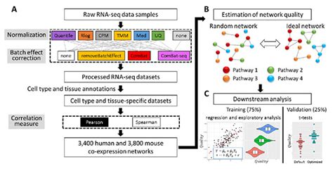 Evaluation Of Critical Data Processing Steps For Reliable Prediction Of