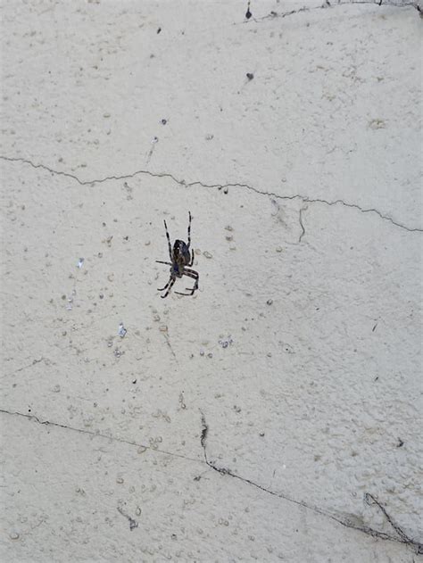 Sorry For A Bad Angle But Who Is This Guy I Didnt Get Any Shots Of