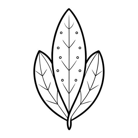 Cactus Leaf Icon Vector Illustration On White Background Premium Ai