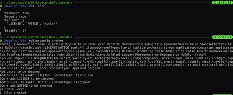 Bug Exclude Not Works When Ecrc Is Not Valid Json Format Issue