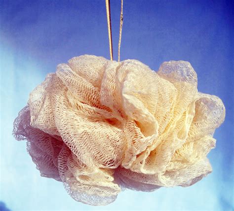 Beauty And Wellness Body Brightening Loofah