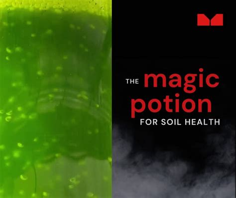 Video Myland Agriculture A Soil Health Company On Linkedin 🌕