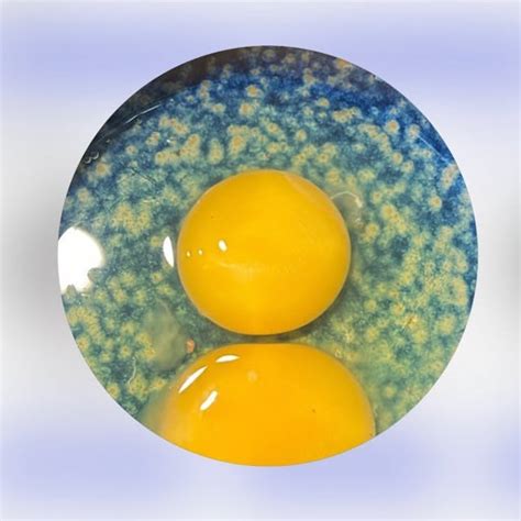 要不要去都可以 但請一定要保持理性 情緒越多 傷害越大 越亢奮越容易被煽動被當槍使 越激動越容易被人牽著走 到頭來才發現自己的這些情緒反而傷害到周遭的住戶與過路的普通人 上一次影響到兒童醫院的