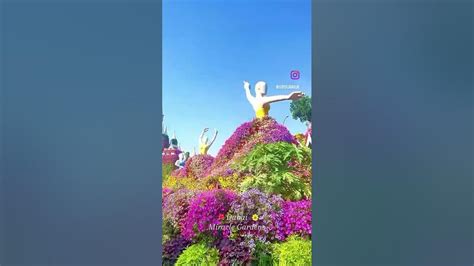 ඩුබායි මිරකල් ගාර්ඩ්න් Dubai Miracle Garden 💞🌺🌻🌺 Youtube