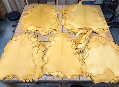 Gold Sheep Hides Tanned To Look Like Deer Medium Skins About 4 Sq Ft