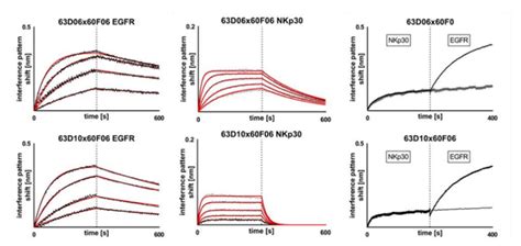 生物分析三剑客应用案例 Merck双特异性抗体表征方法建立 知乎
