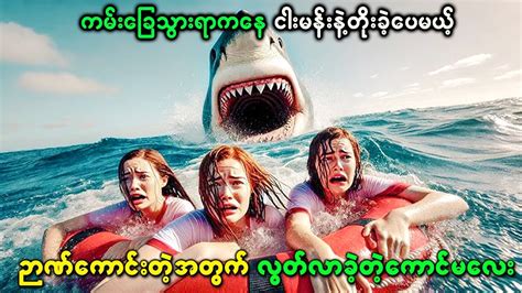 ကမ်းခြေသွားရာကနေ ငါးမန်းနဲ့တိုးခဲ့ပေမယ့် ဉာဏ်ကောင်းတဲ့အတွက် အသက်ဘေးကနေ