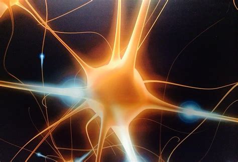 Second Alzheimers Drug To Slow Diseases Progression