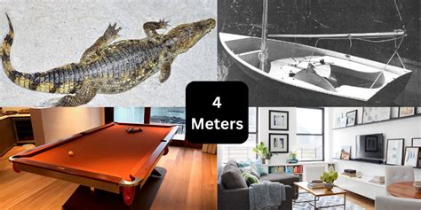 7 Things That Are About 4 Meters M Long