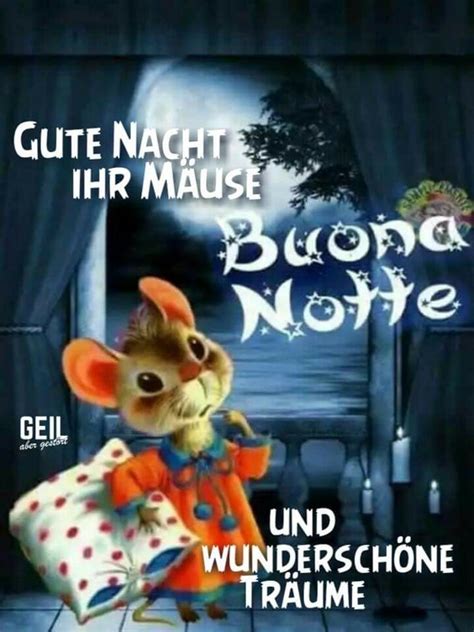 Pin auf Gute Nacht Gute nacht Gute nacht lustig Gute nacht grüße