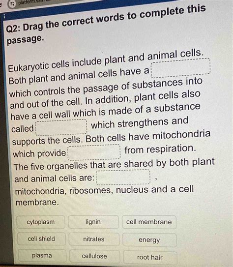 Solved Platform Samm Q2 Drag The Correct Words To Complete This