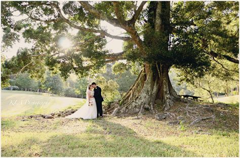 Bride Groom Portraits Under A Magnificent Tree On A Private Property In Berry NSW Wedding
