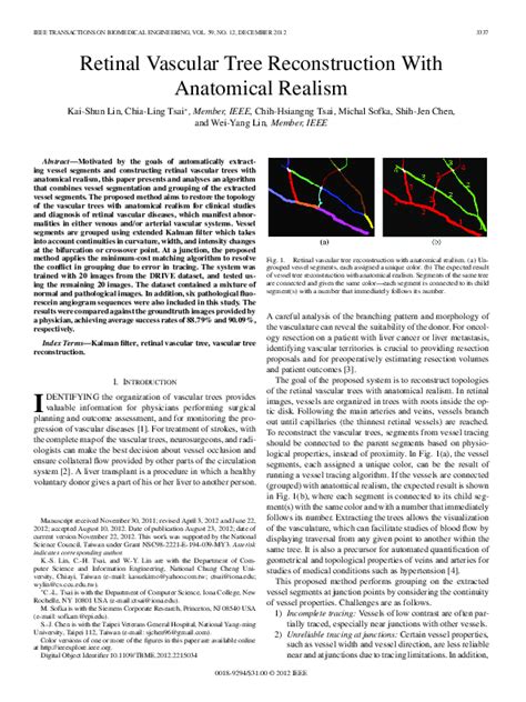 Pdf Retinal Vascular Tree Reconstruction With Anatomical Realism Shih Jen Chen