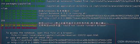 如何在虚拟机中安装python 和 Jupyter，并且启动运行delta Lake，以及解决一下启动过程中出现的错误（保姆级教程）怎么在虚拟机上开启jupyter服务器 Csdn博客
