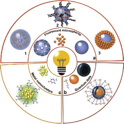 A The Extraction Of Useful Fluorescence Signals From Nonspecific Download Scientific Diagram