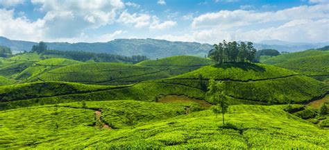 4 NI 5 Days Kochi Munnar Thekkedy Alleppey Tour Package