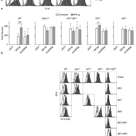 Type I Interferon Ifn Dependent Induction Of Clr B Is Irf9 Dependent