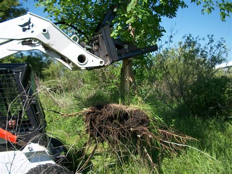 Tree Puller Thielen Machine