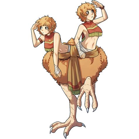 Doduo Kinkymation Pokémusu Wiki Fandom
