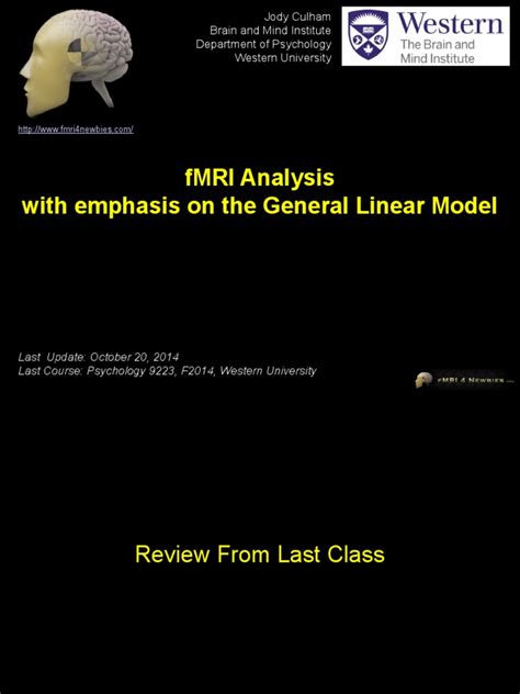 Fmri Analysis With Emphasis On The General Linear Model Pdf P Value